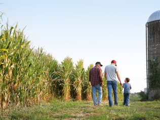 Insurance Agency, Agriculture, Cattle & Commercial Insurance | Lubbock, TX